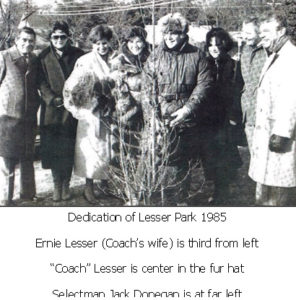 Lesser Park - Olde New England Granite